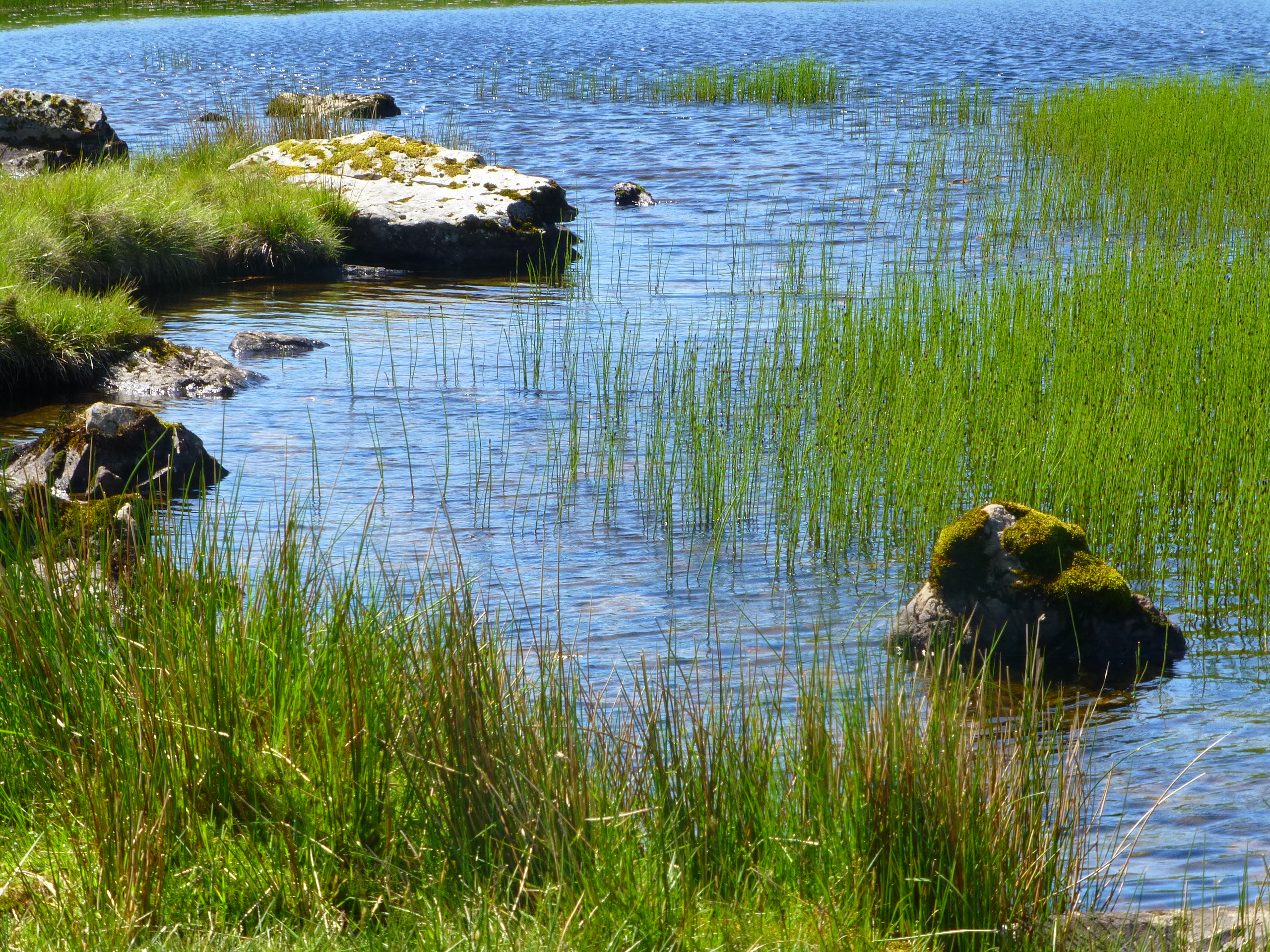 Dale Head Tarn | Lakeland Walking Tales